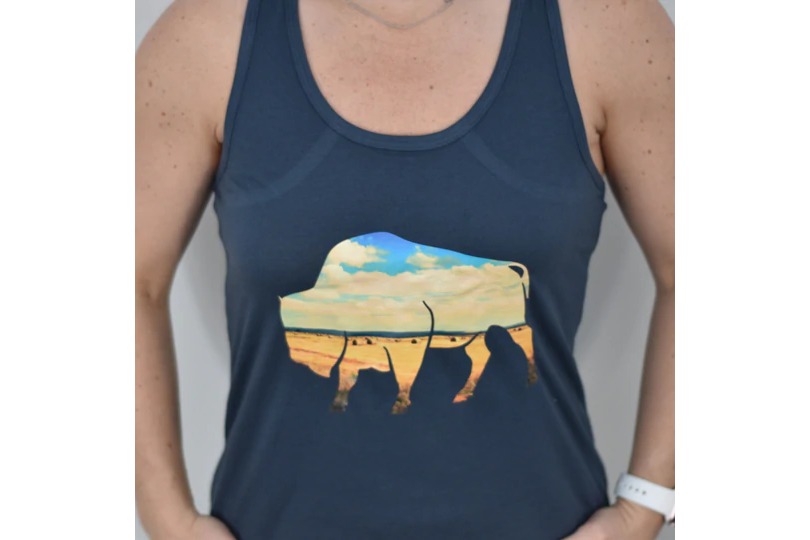 Gnomon Bison Tank Revolution Cycle